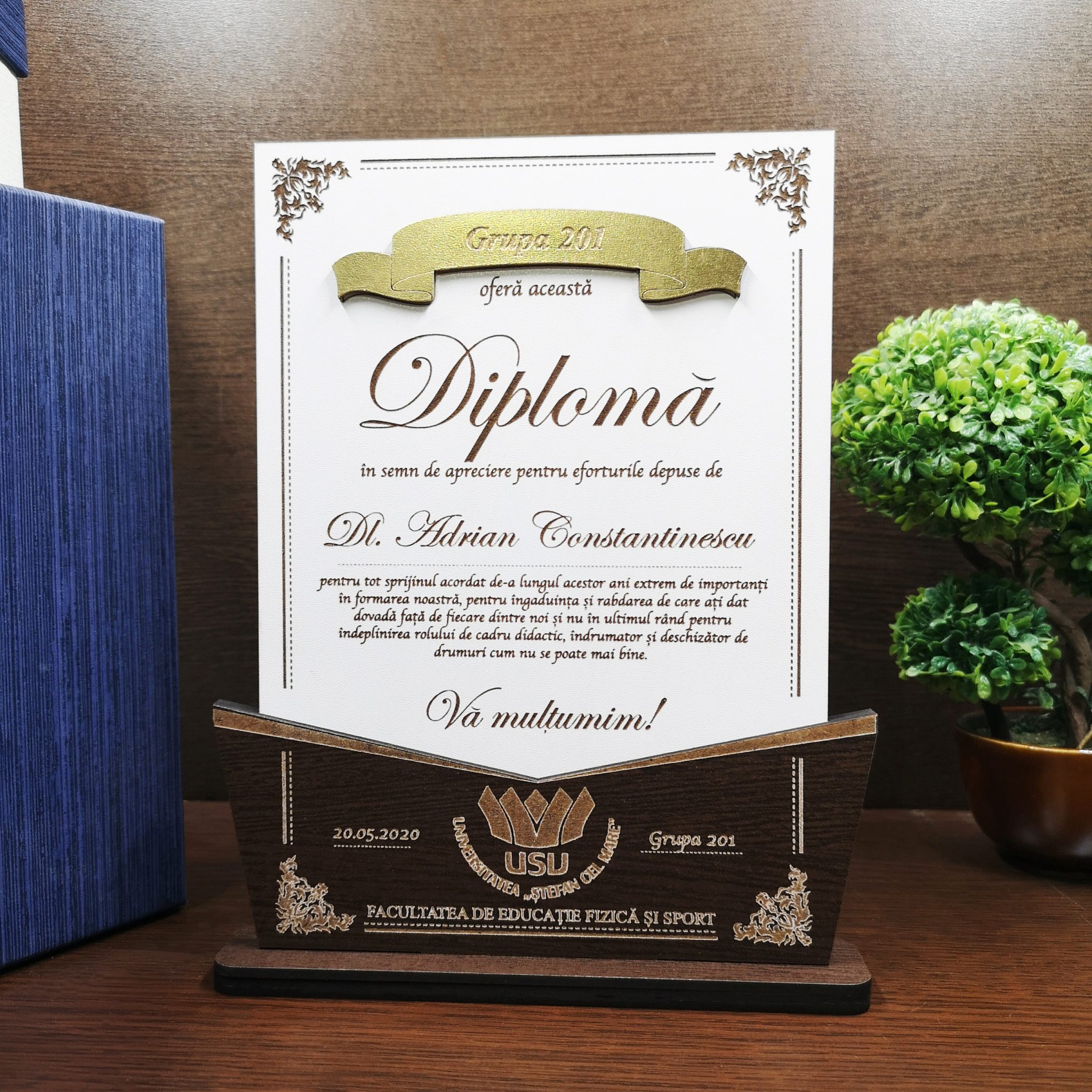 Diploma profesor - Trofeu cadou personalizat